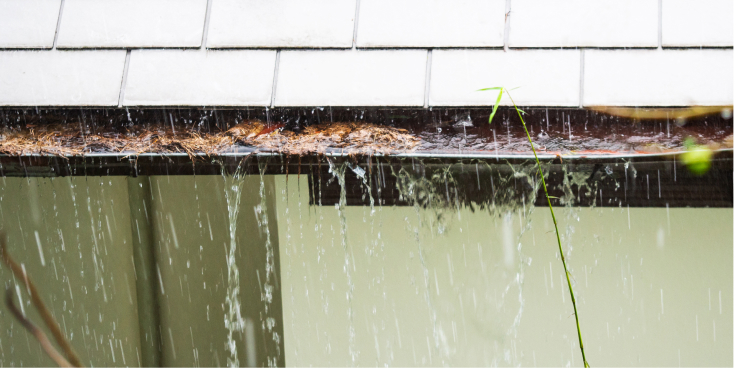 5 Signs of Clogged Underground Drains