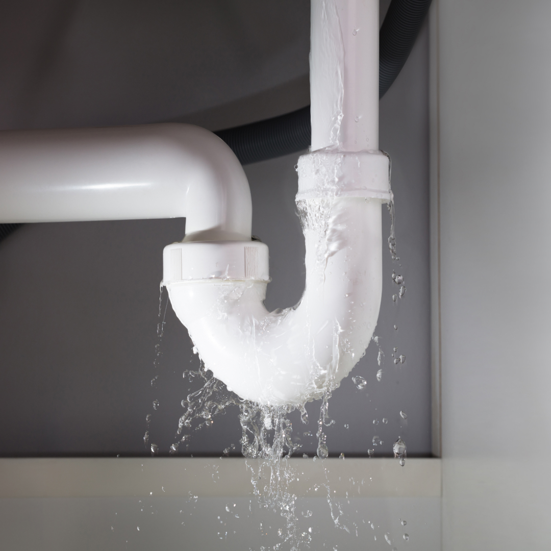 Basics of Sewer Repair: What Every Homeowner Should Know - Drain Magic ...