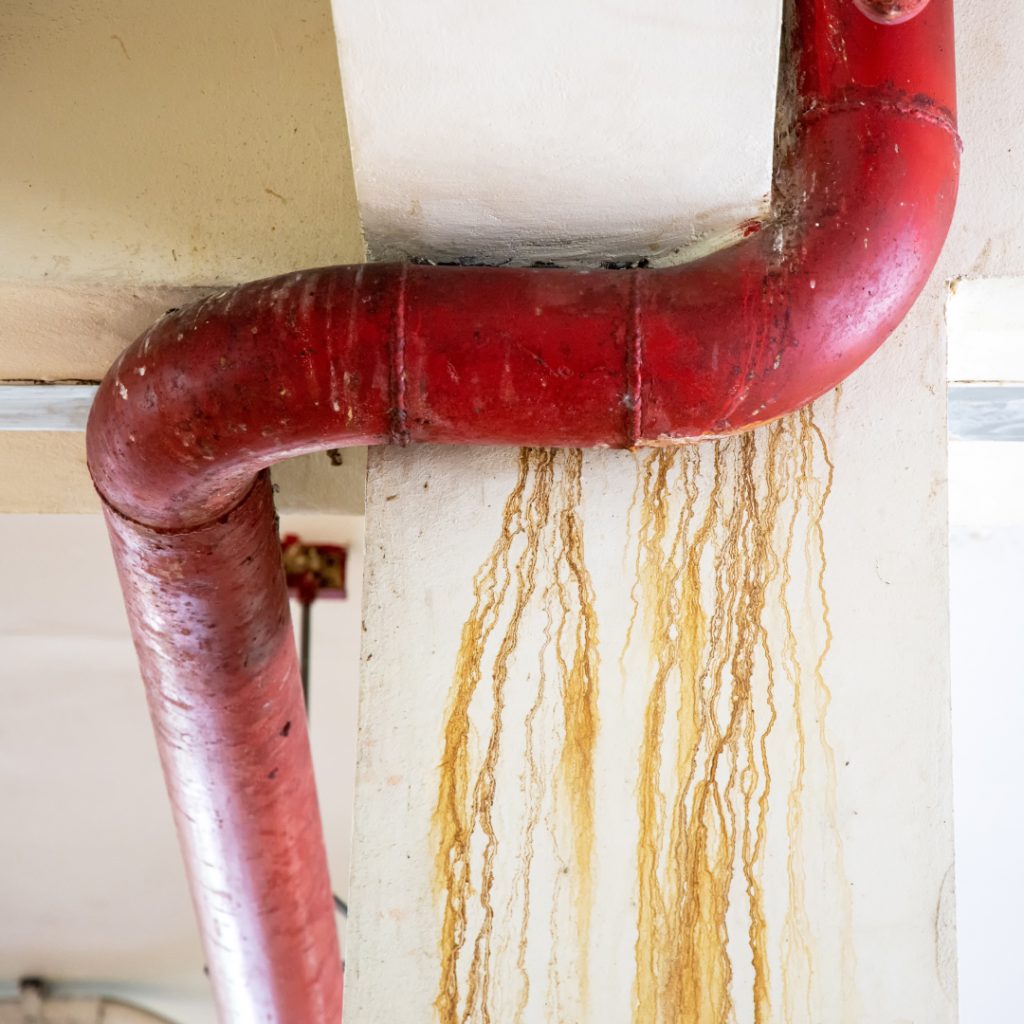 10 Questions to Ask Your Drain Experts